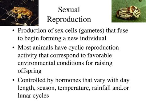 Reproduction BIO 201 Organismal S F Dr Tony Serino Ppt Download