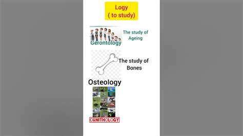 Science Vocab Meanings Based On Root Word Logy Youtube