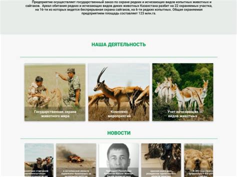 The Best Built Website Upwork