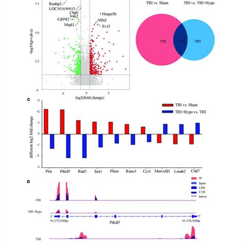 Topological Distribution Of N6 Methyladenosine M6A Peaks A M6A