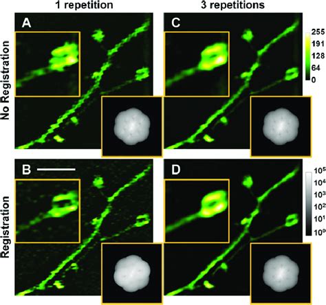 strategies to combat motion induced artifacts for in vivo sim in the