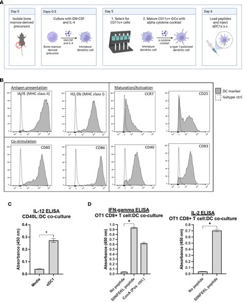 Characterization Of ADC1s A Typical Schema For DC Generation And Download Scientific Diagram