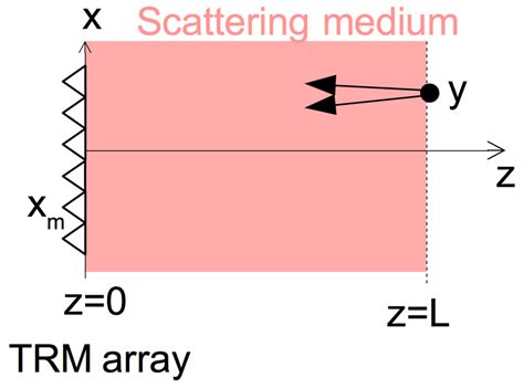 1 Time Reversal Experiment Left First Step Of The Experiment A Download Scientific Diagram