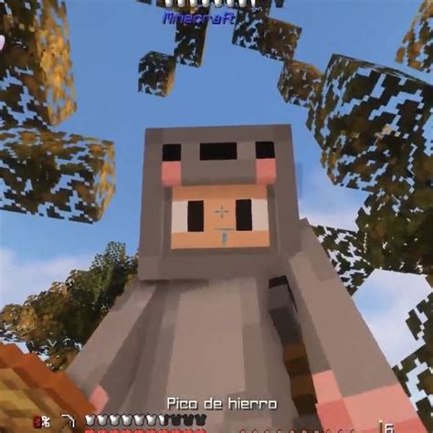 Imantado Perros De Minecraft Fotos De Perfil Whatsapp Fotos De Perfil