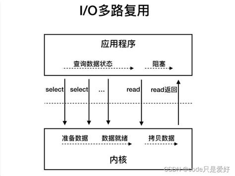 博学谷学习记录 超强总结用心分享架构 网络编程基础之java Io模型总结java Io 体系、线程模型大总结 Csdn博客