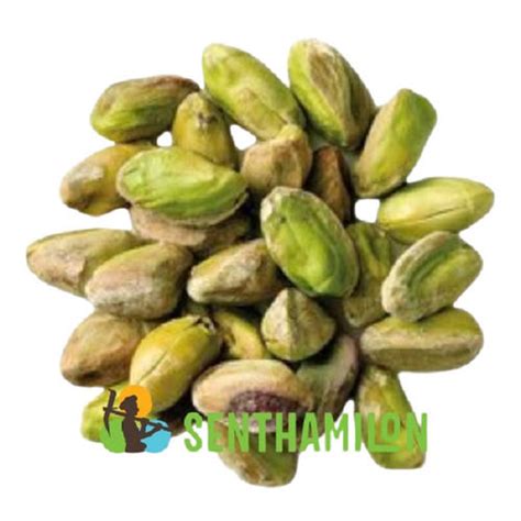 California Pista Kernels Without Shell At 118720 Inr In Hosur Senthamilon Private Limited
