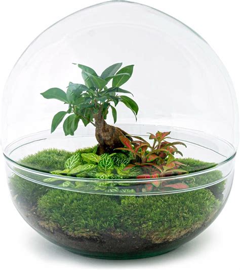 Een Mini Ecosysteem In Je Woning Het Perfecte Interieur