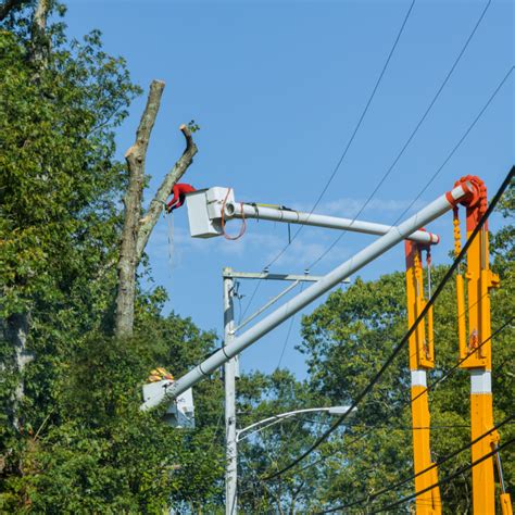 Mastering Safety And Efficiency The Importance Of Mewp Operator Training