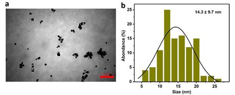 Tem Micrograph Of T P Agnps A And Corresponding Size Distribution