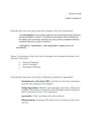 Chapter Assignment The Cellular Level Of Organization Docx January