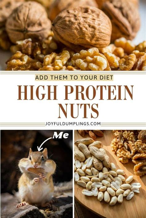 8 Best High Protein Nuts And Seeds For Snacking Joyful Dumplings