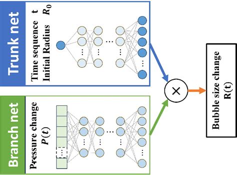 Bridging Scales In Multiscale Bubble Growth Dynamics With Correlated Fluctuations Using Neural