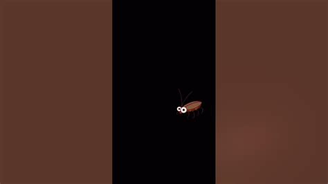 Cockroch 🪳 Youtube