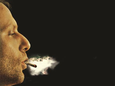La Marihuana ¿una Droga Inofensiva Revista Mira