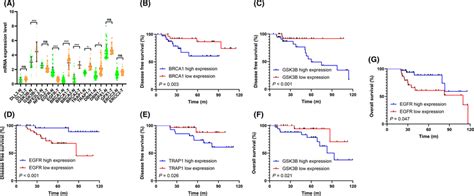 The MRNA Levels And Prognostic Value Of 10 Selected ARGs In Our Cohort