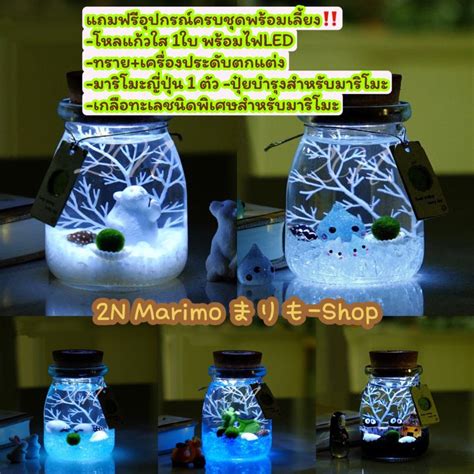 สินค้าพร้อมส่ง มาริโมะ Marimo Set Led แถมฟรีอุปกรณ์ครบชุดพร้อมเลี้ยง Th