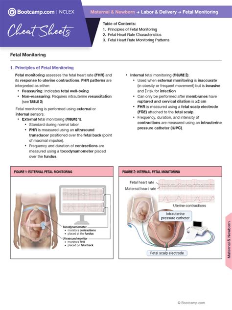 Fetal Heart Rate Monitoring Guide Pdf Maternal Health Obstetrics