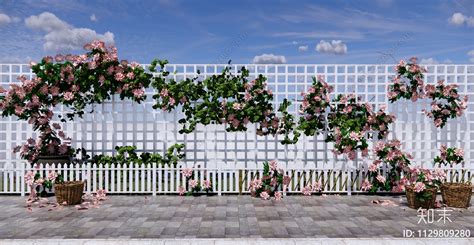 爬藤植物su模型下载【id1129809280】知末su模型网