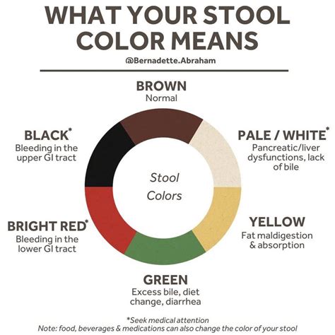 What Your Stool Color Means Bernadette Blog