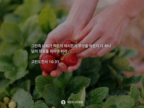 고린도전서 10 31 Daily Bible Inspirations