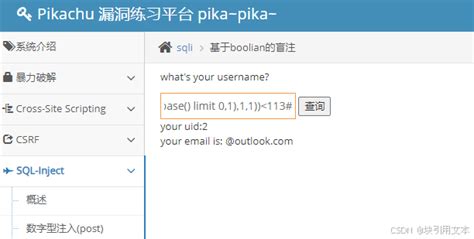 Pikachu漏洞练习第四章节sql注入 基于boolian的盲注，原理练习收获 Csdn博客