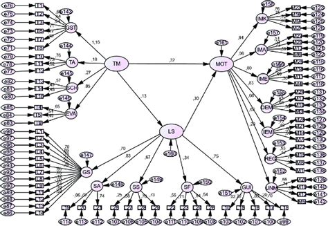 Model 2 Reflecting Mediator Role Of Life Satisfaction In The