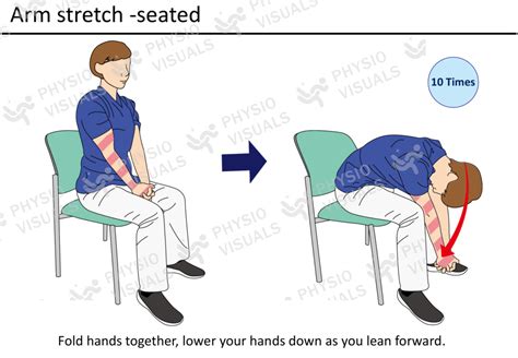 Arm Stretch Seated Physio Visuals Illustrated Exercise Stretching