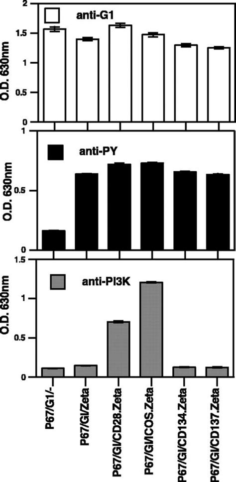 Activation Of Resting Human Primary T Cells With Chimeric Receptors