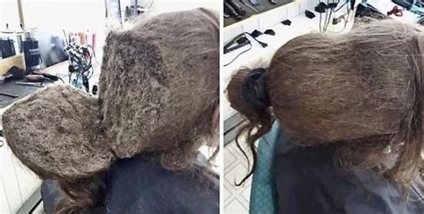 Meisje Weigert Haren Te Kammen Totdat Kapper Haar Trieste Geheim