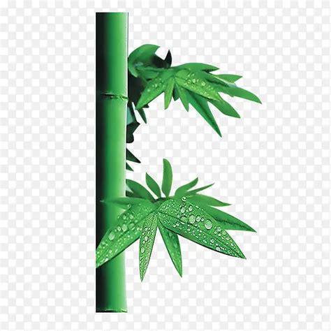 竹子png图片素材下载图片编号9124625 Png素材网