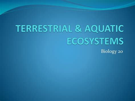 Ppt Terrestrial And Aquatic Ecosystems Powerpoint Presentation Id2001456