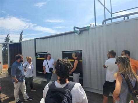 Sofia Mai Posted On Linkedin