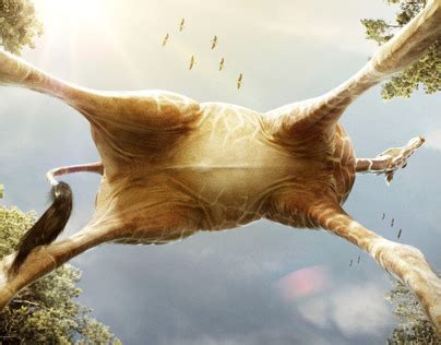 New angles on Behance