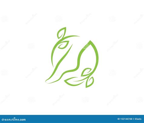 Foot Logo Template Vector Icon Stock Vector Illustration Of Contour