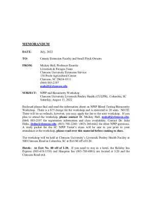 Fillable Online Professional Memo MEMORANDUM TO CHIEF EXECUTIVE