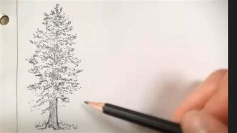 Hike And Draw How To Draw Trees FREE TUTORIAL Hike And Draw How To Draw Trees FREE TUTORIAL