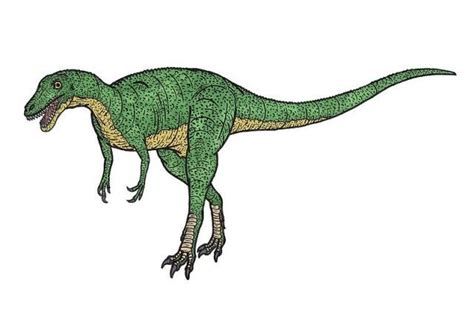 Alectrosaurus Pictures And Facts The Dinosaur Database