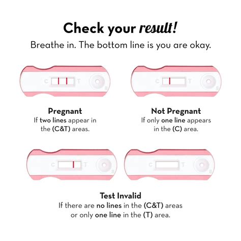 Plush Preg Oh Basic Pregnancy Test Kit 3 Pieces Price Buy Online At