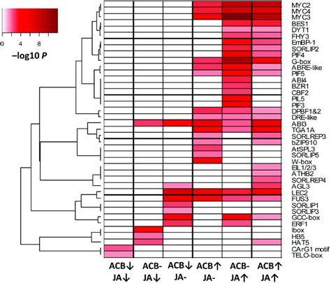 Enriched Cis Elements In Promoters Of Each Deg Group Degs Were Grouped