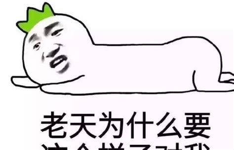 养狗十年，“气死”一个又一个铲屎官！狗狗主人天使