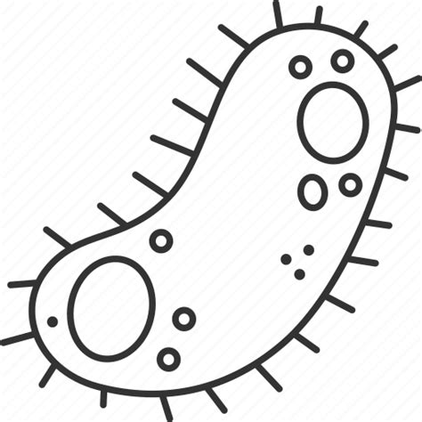 Bacteria Germ Microorganism Cell Disease Icon Download On Iconfinder