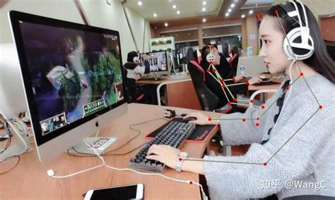 Mscoco数据集姿态估计数据集可视化【附代码】 Csdn博客