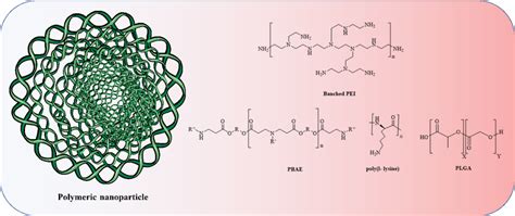 The Anionic Phosphodiester Part Of Rna Is Complexed By Cationic Amine Download Scientific