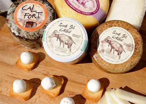 Quesos De Cataluña Con Denominación De Origen Tradición Deliciosa