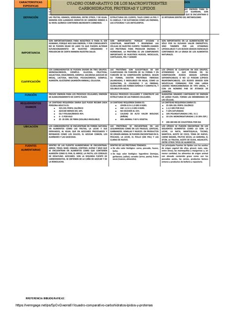 Cuadro Comparativo De Carbohidratos Proteinas Y Lipidos Pdf