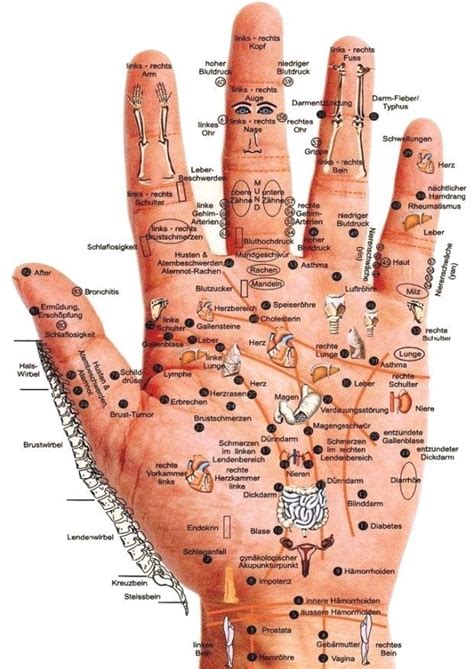 Acupressure Points For Headache 099