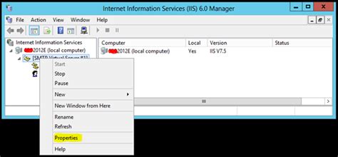 Email Windows Server IIS SMTP Server Fault