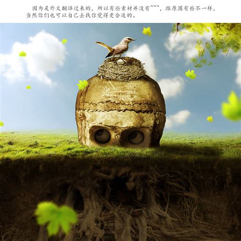 PS合成草地上的骷髅 photoshop 设计原 jy sccnn