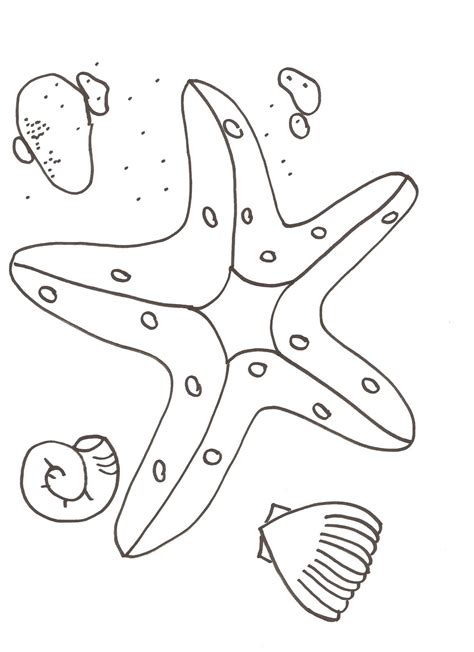 Starfish Printable Coloring Pages