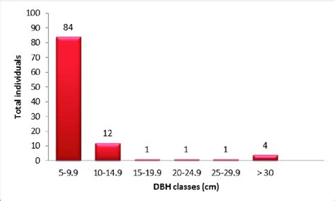 Distribution Of Dbh Classes Of Euphorbiaceae In Bukit Panchor